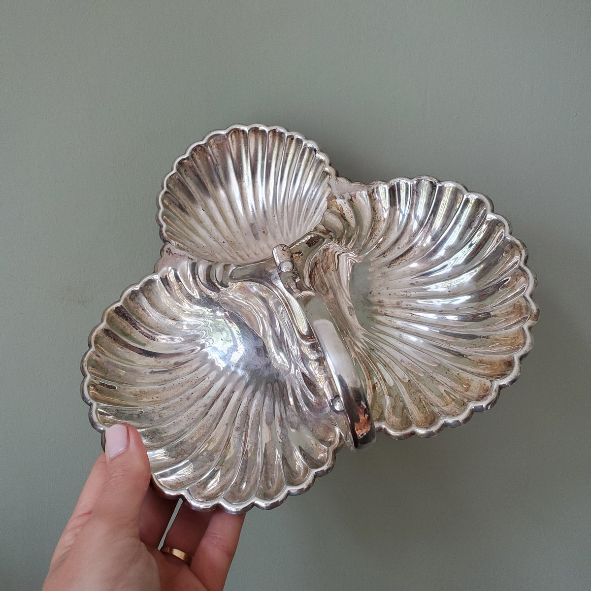Shell Serving Dish – The Antik Store