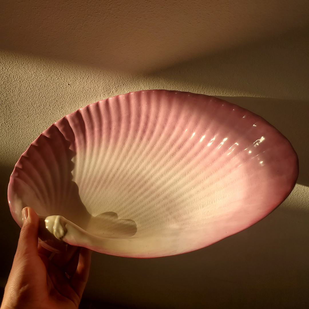 Set Of Four 19th Century Wedgewood Shell Plates – The Antik Store